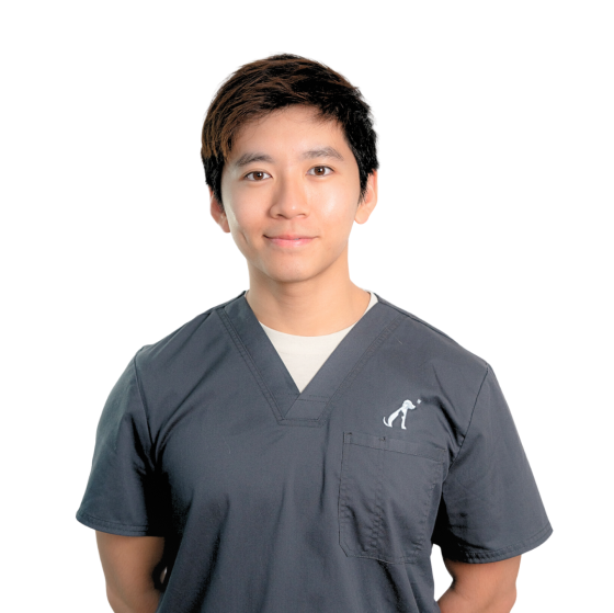 獸醫外診服務中心 - Veterinary Services in Hong Kong | Vet Hong Kong